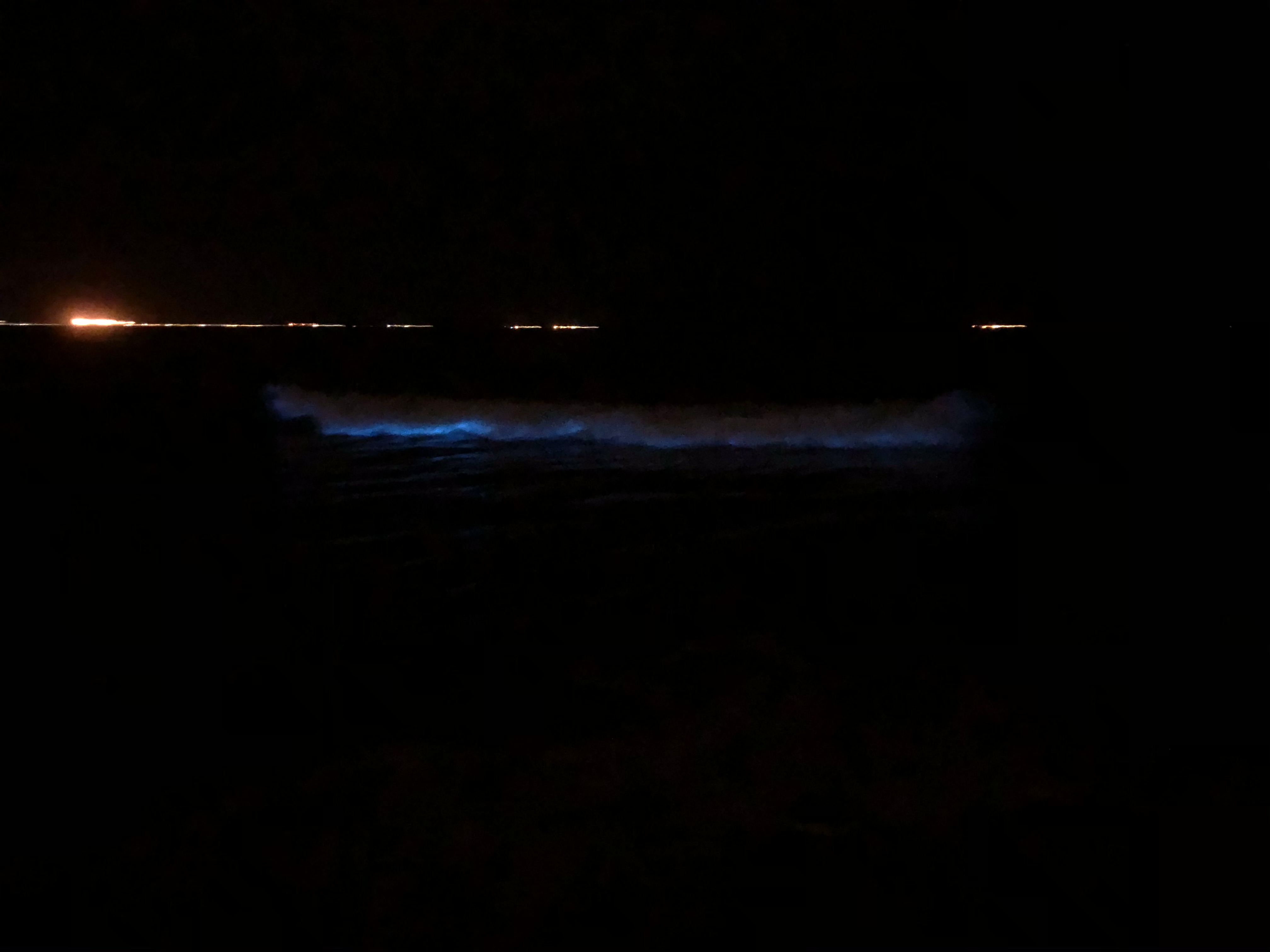 Lichtgevende golven door zeevonk | Natuurwijzer